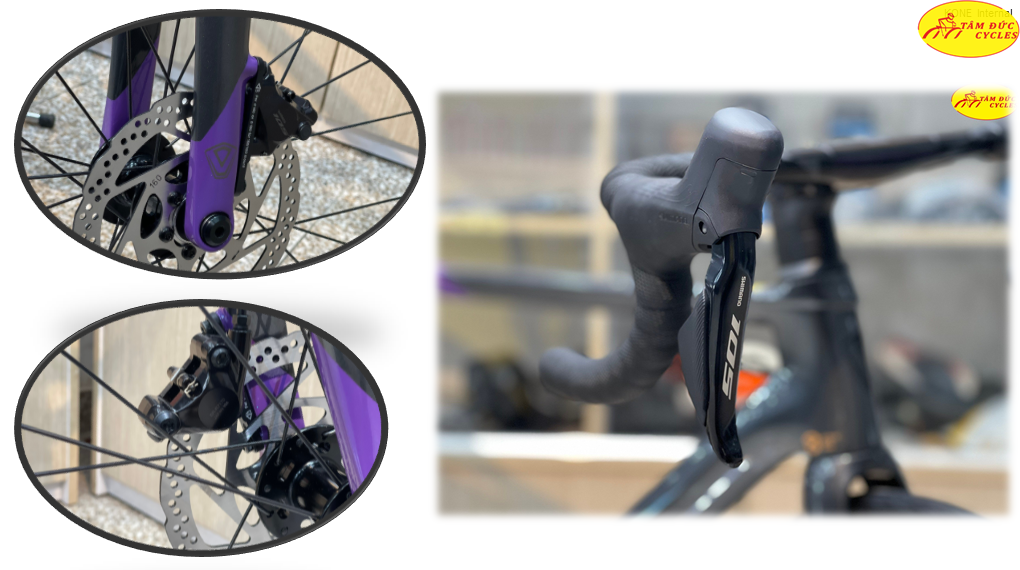 Xe đạp đua Java Vesuvio R7170 Di2